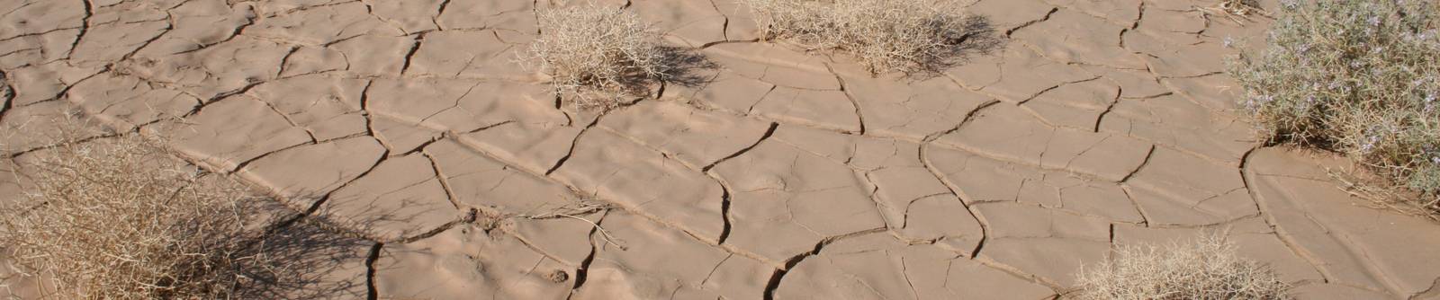 Lutter contre la désertification et promouvoir la gestion durable des ...