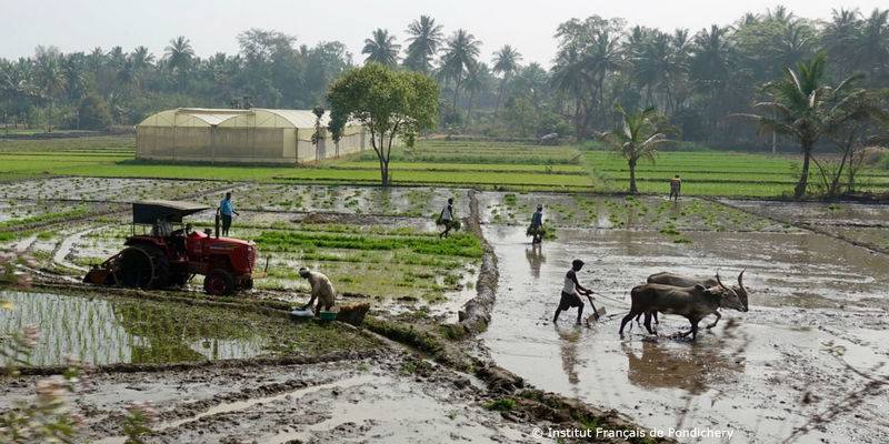 A new ambition for French development policy - Ministry for Europe and ...